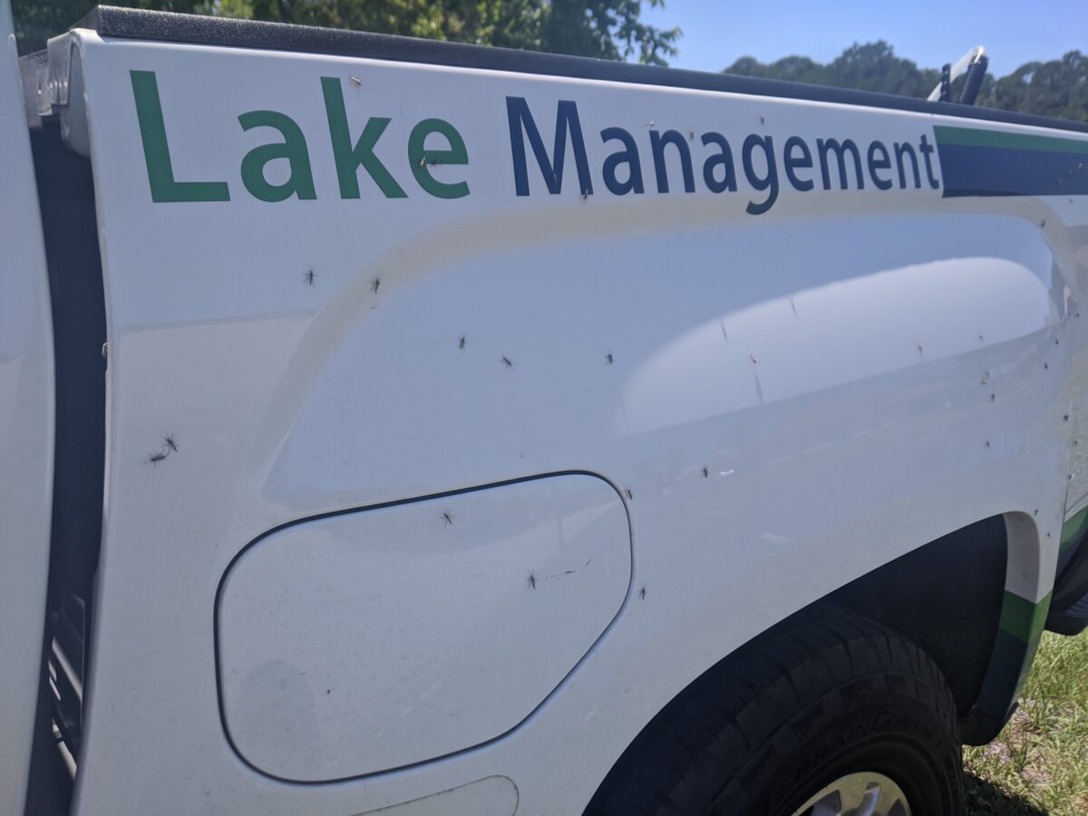 Solutions for Aquatic Midges - Florida Waterways, Inc.